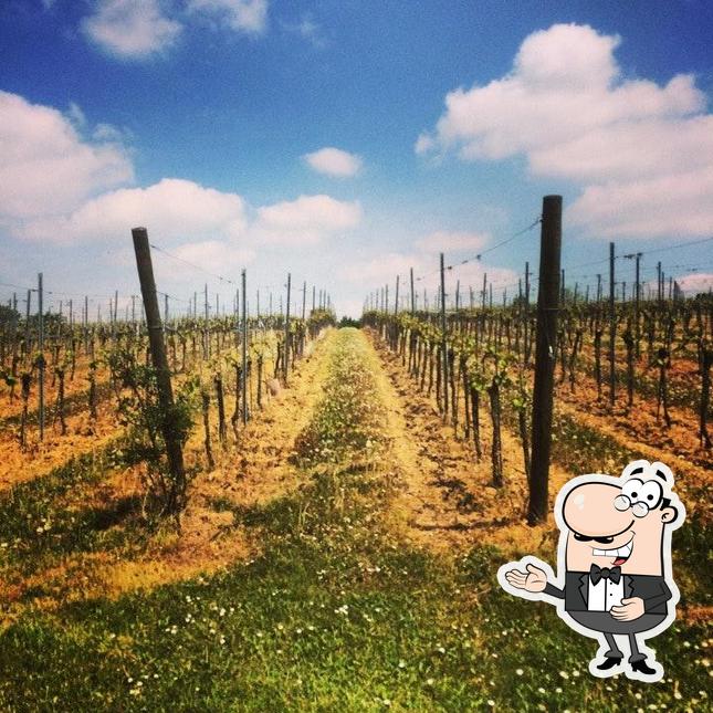 Domaine Viticole du Chenoy, La Bruyere
