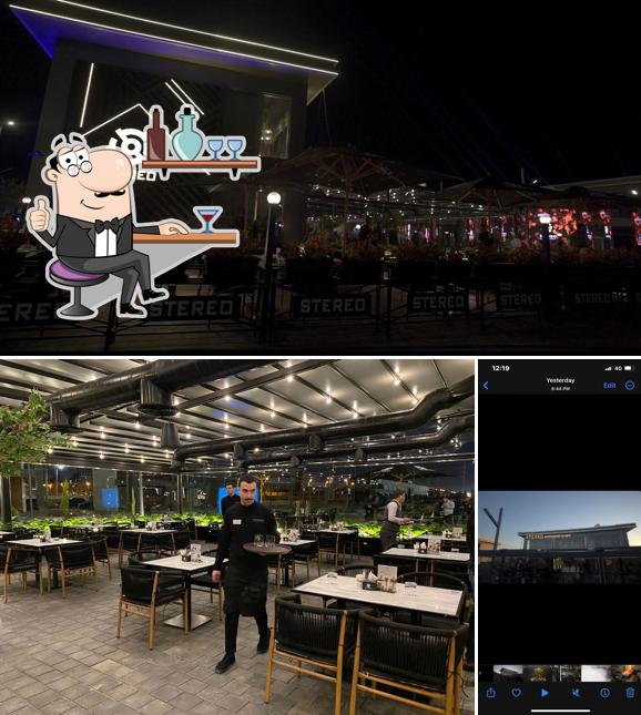 Stereo Restaurant & Cafe, Sheikh Zayed City - Restaurant reviews