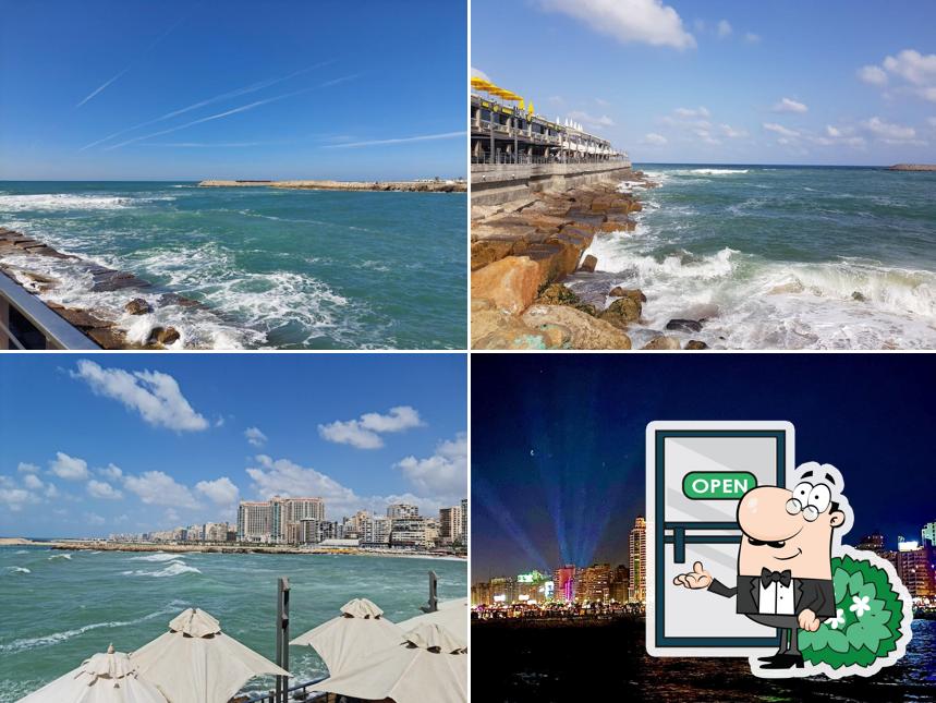 Gleem Bay, Alexandria cafe, Alexandria, Glime Beach - Restaurant reviews