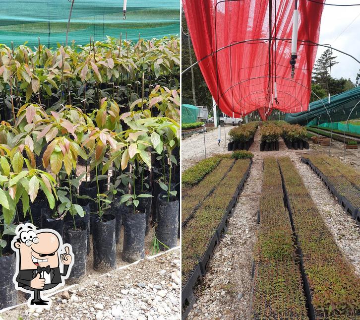 El Ripio, Chontabamba - Menú del restaurante, precios y reseñas