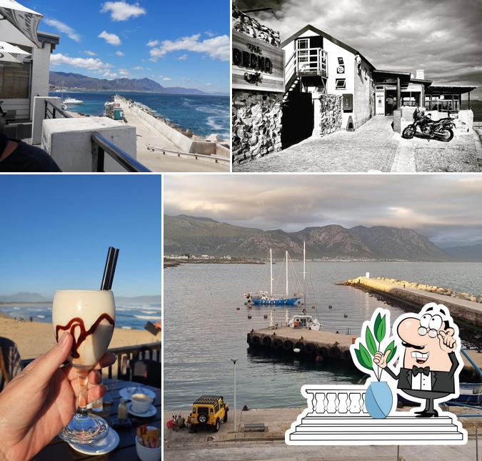 The Gecko Bar & Restaurant, Hermanus - Restaurant menu, prices and reviews