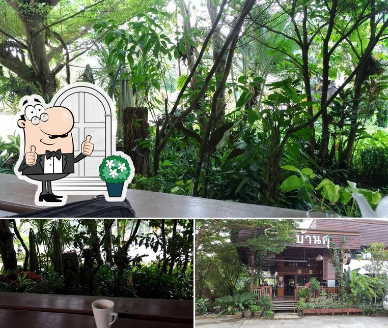 บ้านศุ Cafe, Mamu - Restaurant reviews