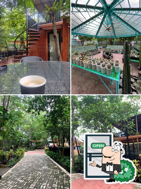Nimo Brew, Lapu-Lapu City - Restaurant menu, prices and reviews