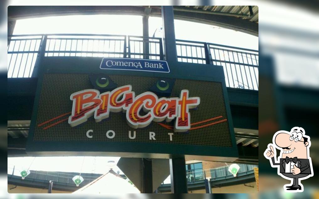 Big Cat Court in Detroit