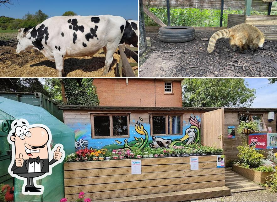 Hopefield Animal Sanctuary in Brentwood - Restaurant reviews