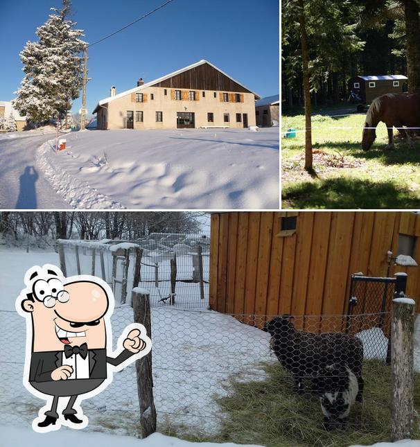 Hostel Recreation Le Sillet, Longcochon - Restaurant reviews