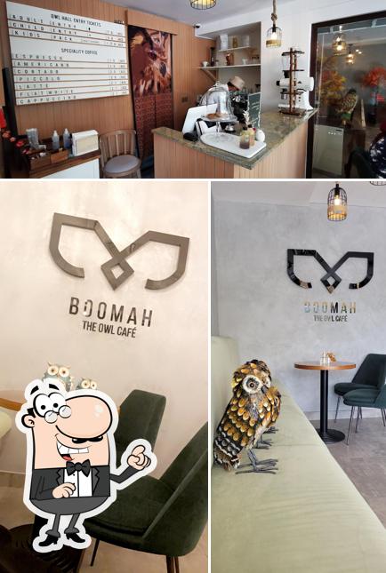 Boomah, The Owl Café, Abu Dhabi - Restaurant menu, prices and reviews