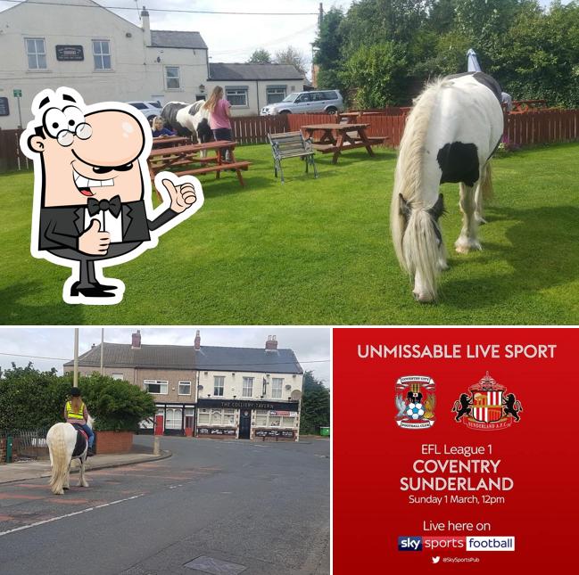 The Colliery Tavern in Boldon Colliery - Restaurant reviews