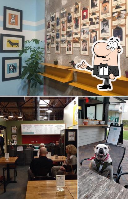 Short Leash Hot Dogs, Phoenix - Restaurant menu, prices and reviews