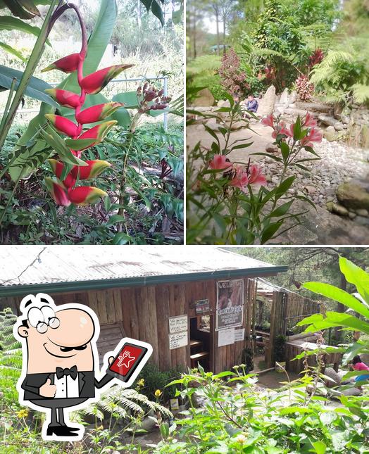Cascade Café cafe, Sagada - Restaurant reviews