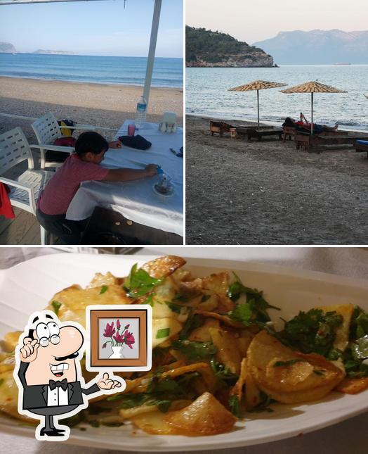 ECE RESTORAN, Turkey - Restaurant reviews