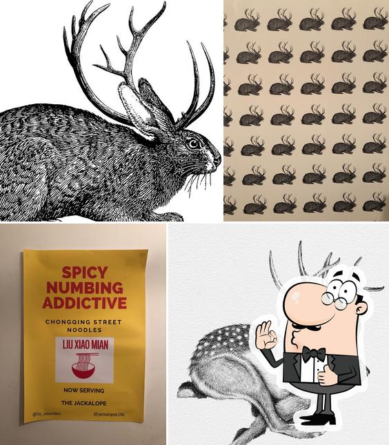 The Jackalope, 43 Weymouth Mews in London - Restaurant reviews