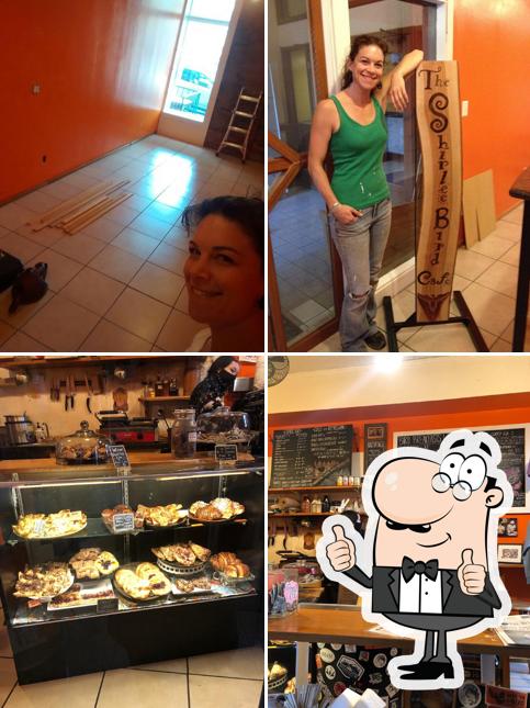 Shirlee Bird Cafe, Sycamore Square, 1200 Harris Ave #100 in Bellingham ...