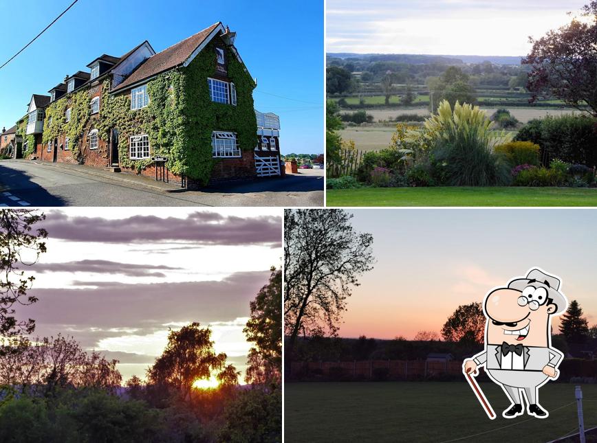 Dog & Hedgehog Inn in Dadlington - Restaurant reviews
