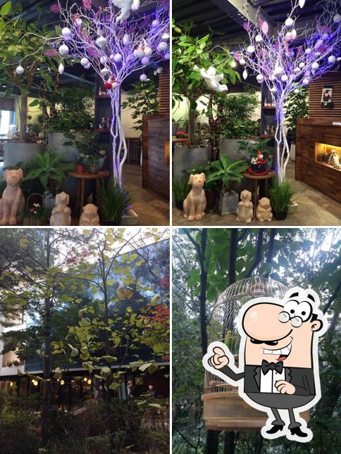 Prunus Garden Cafe, Seoul, 668-109 Seongsu-dong 1(il)-ga - Restaurant ...