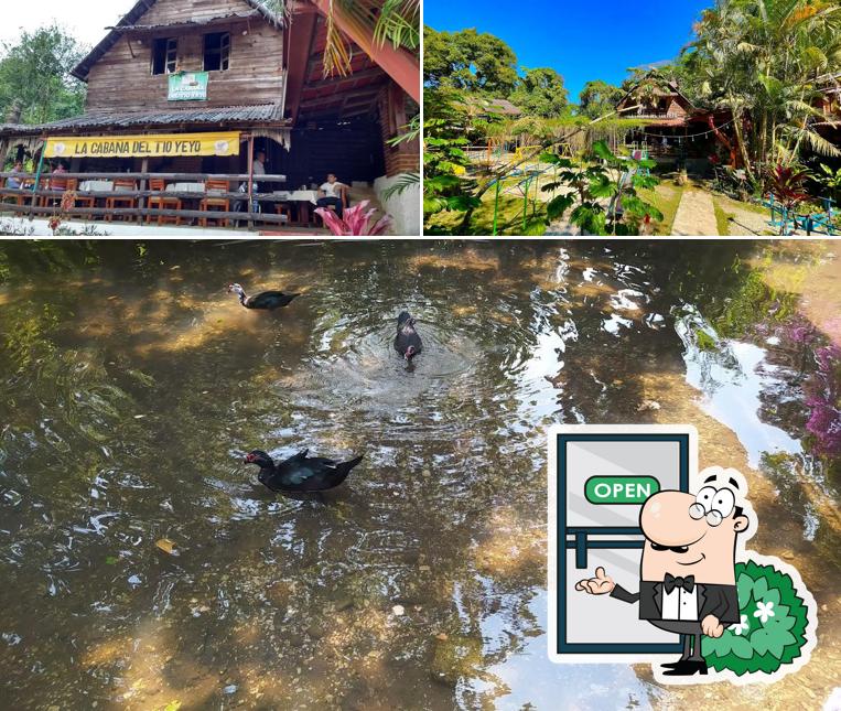 La Cabaña del Tío Yeyo, Coatepec - Menú del restaurante, precios y reseñas