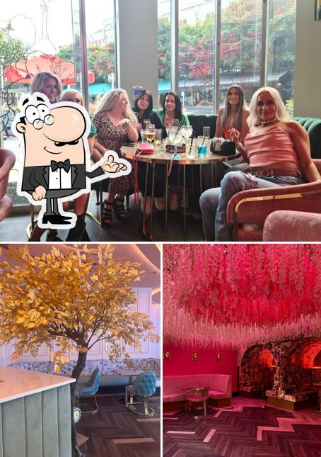 Gin Ne Sais Quoi - Cardiff, Cardiff - Restaurant menu, prices and reviews