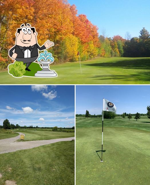 The Fox Golf Club - Restaurant menu, prices and reviews