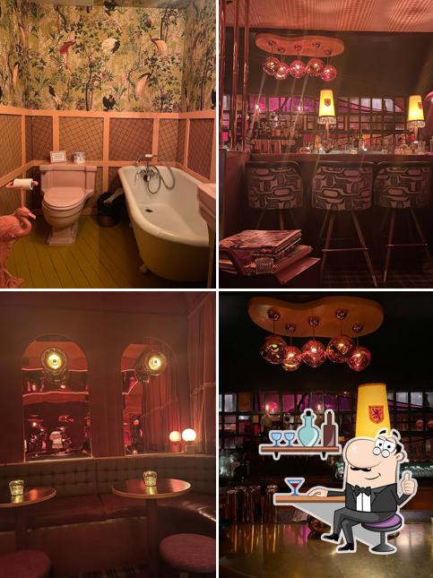 HiLot in New York City - Restaurant reviews