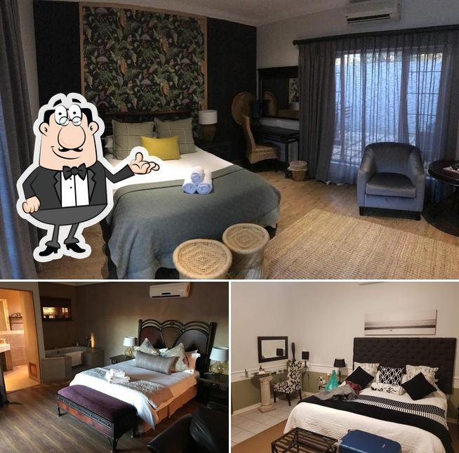 Solo Gracia Guest House restaurant, Bloemfontein - Restaurant reviews