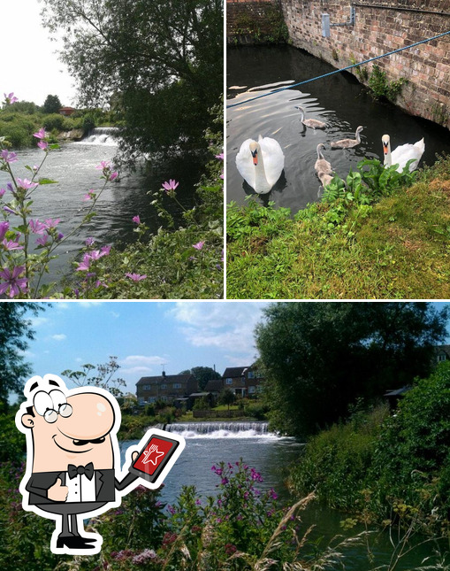 Fromebridge Mill, Frampton on Severn - Restaurant menu, prices and reviews