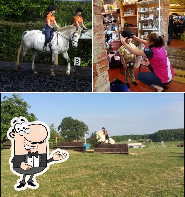 Eland Lodge Equestrian Centre in Draycott in the Clay - Restaurant reviews