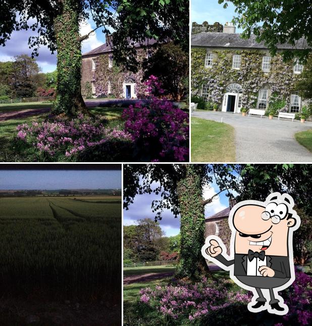 Ballymaloe House Hotel, an SLH Hotel - Restaurant menu, prices and reviews