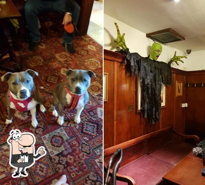 The Plough Inn, Whitby - Restaurant menu, prices and reviews
