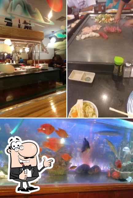 New Bo Bo Chinese Restaurant in Brookhaven - Restaurant menu and reviews