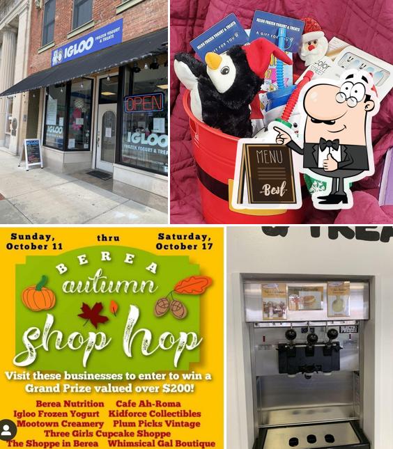 Igloo Frozen Yogurt and Treats in Berea - Restaurant menu and reviews