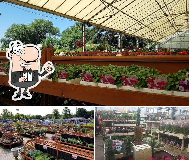 Longacres Garden Centre Shepperton, Shepperton - Restaurant menu ...