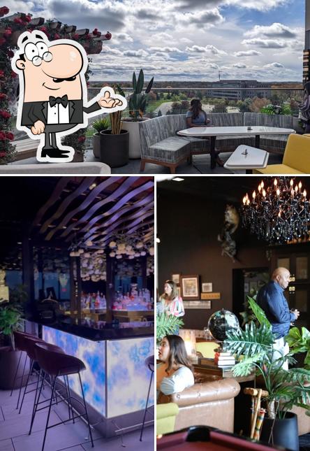 The Bradford Rooftop, Bridgewater - Restaurant menu, prices and reviews