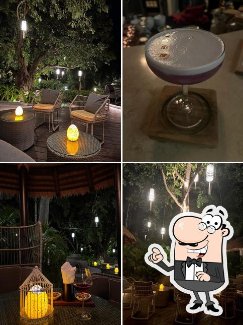 The Singing Bird Lounge pub & bar, Ko Samui - Restaurant reviews