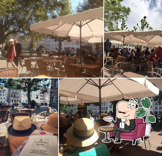 Terrasse des Rohan cafe, Strasbourg - Restaurant reviews
