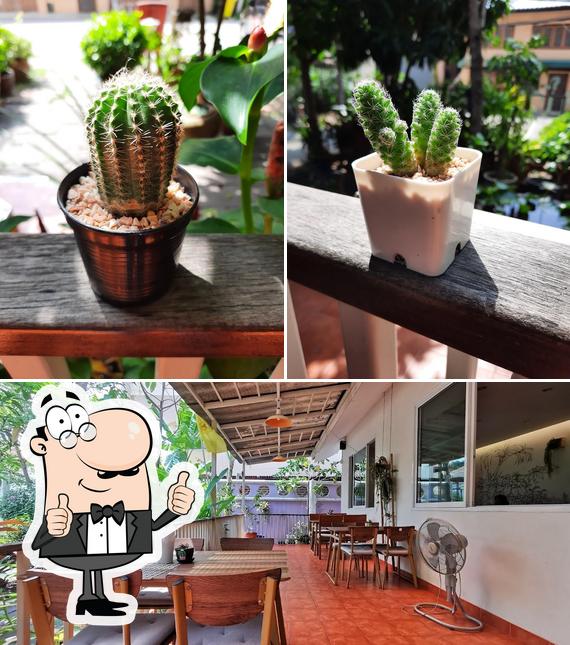 Baan Chim Doo (By Linn) restaurant, Na Chom Thian - Restaurant reviews