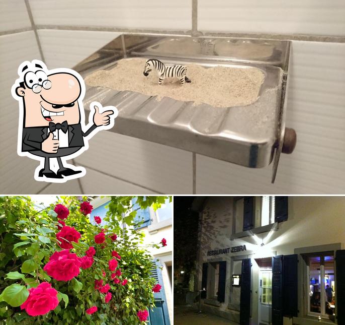 Restaurant Zebra, Bern - Restaurant reviews