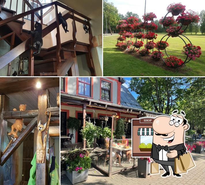 Complex Cathouse (Kaķu Māja) cafe, Sigulda - Restaurant reviews