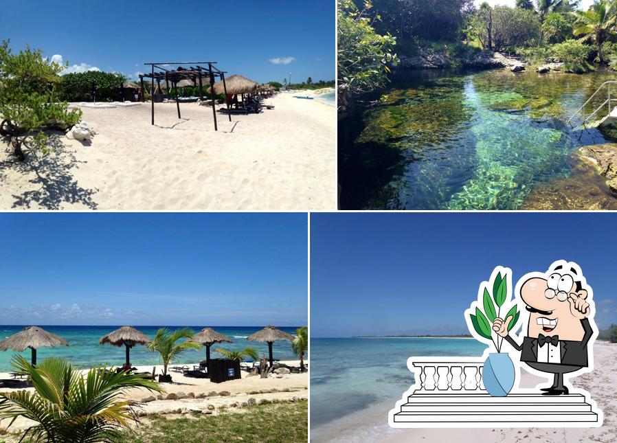 Punta Venado Beach Club, Playa del Carmen - Restaurant reviews
