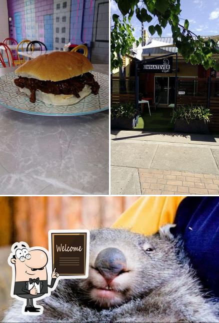Whatever Cafe in Kootingal - Restaurant reviews