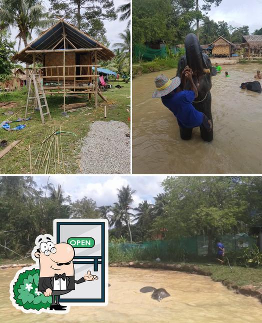 Heart Shape & Elephant Care Samui, Ko Samui - Restaurant reviews