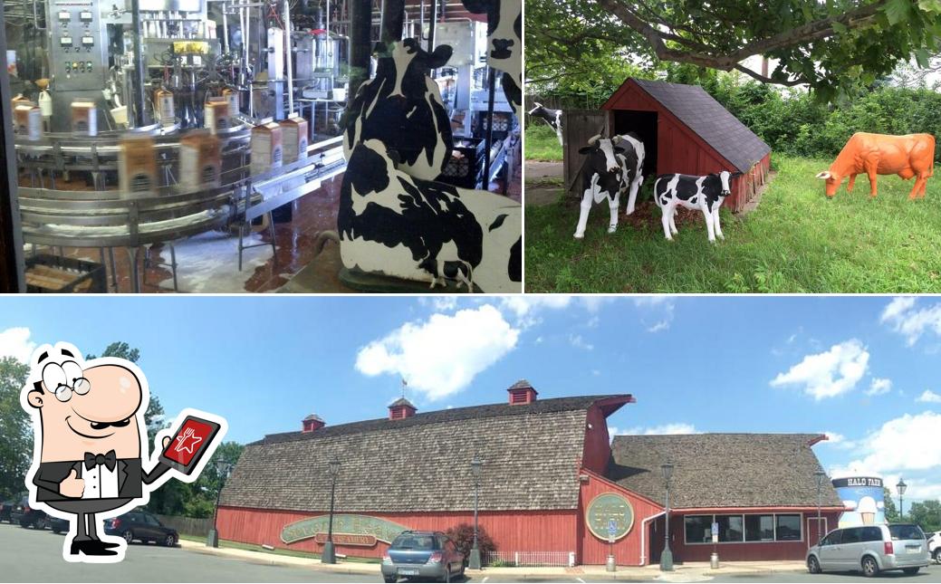 Halo Farm, Trenton - Restaurant menu, prices and reviews