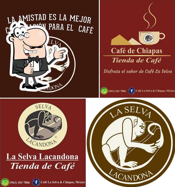 Café Selva Lacandona, Comitán, Carretera Panamericana km. 1261.5 ...