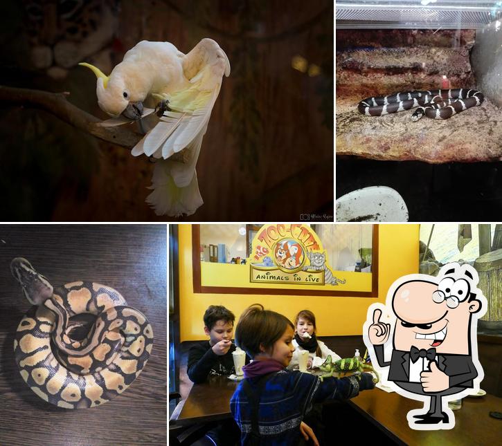 Zoo Café cafe, Budapest - Restaurant menu and reviews