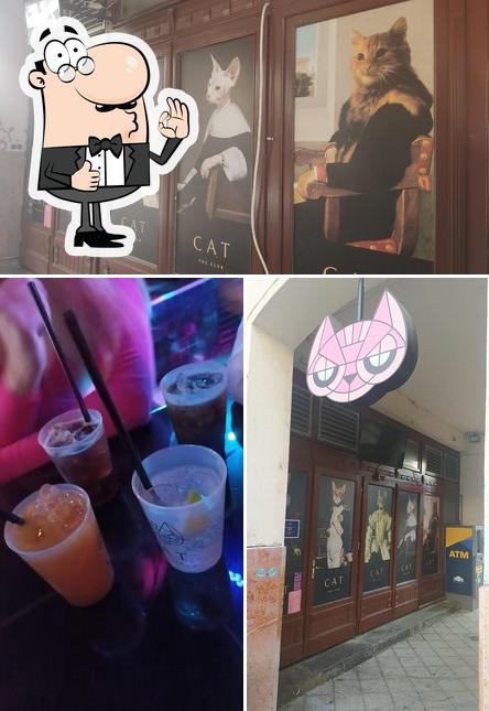CAT Budapest club, Budapest - Restaurant reviews