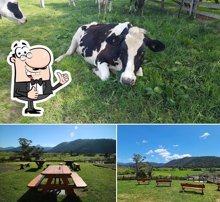 Pyengana Dairy Company, Pyengana - Restaurant menu, prices and reviews