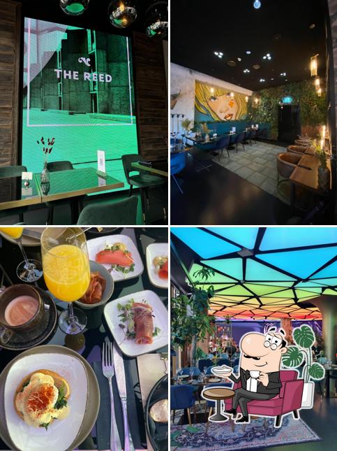 THE REED, Berlin - Restaurant menu, prices and reviews