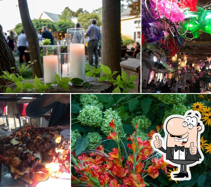 Tree House Tavern, Warwick - Restaurant menu, prices and reviews