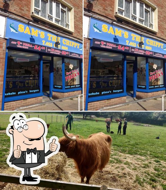 Sam's Chippy in Havant - Restaurant menu and reviews