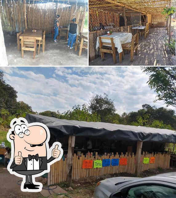 Encuentra el mejor sitio para comer en Cofradía de Suchitlán, primavera ...