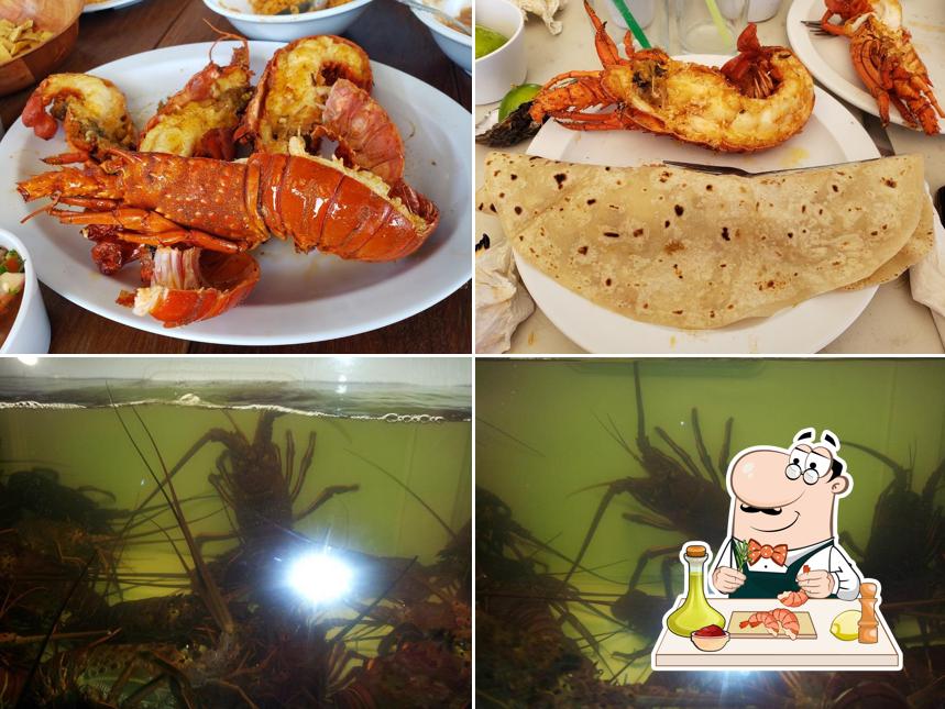 Restaurant Bar El Guero, Puerto Nuevo - Restaurant menu, prices and reviews